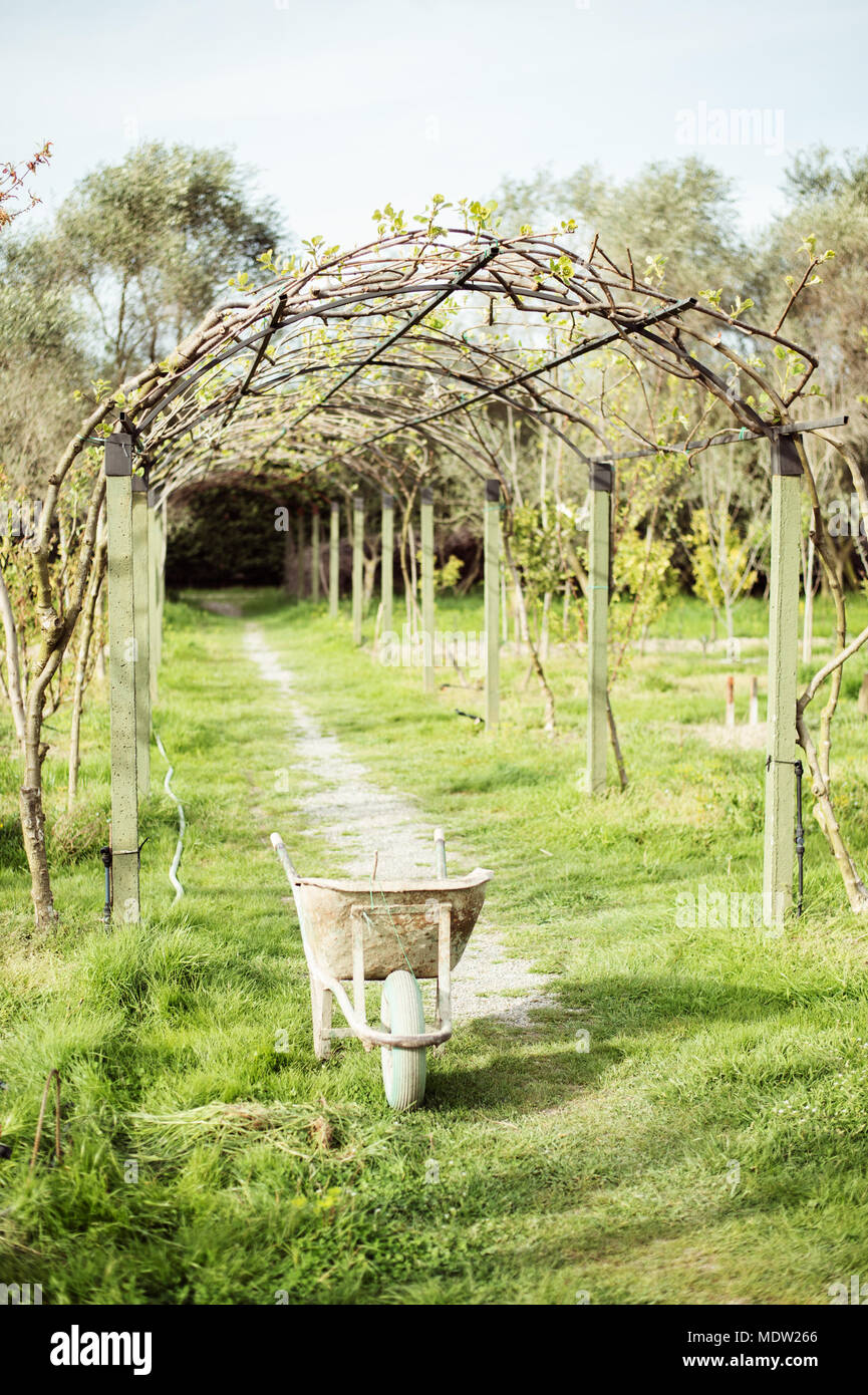 Albania travel tirana hi-res stock photography and images - Alamy