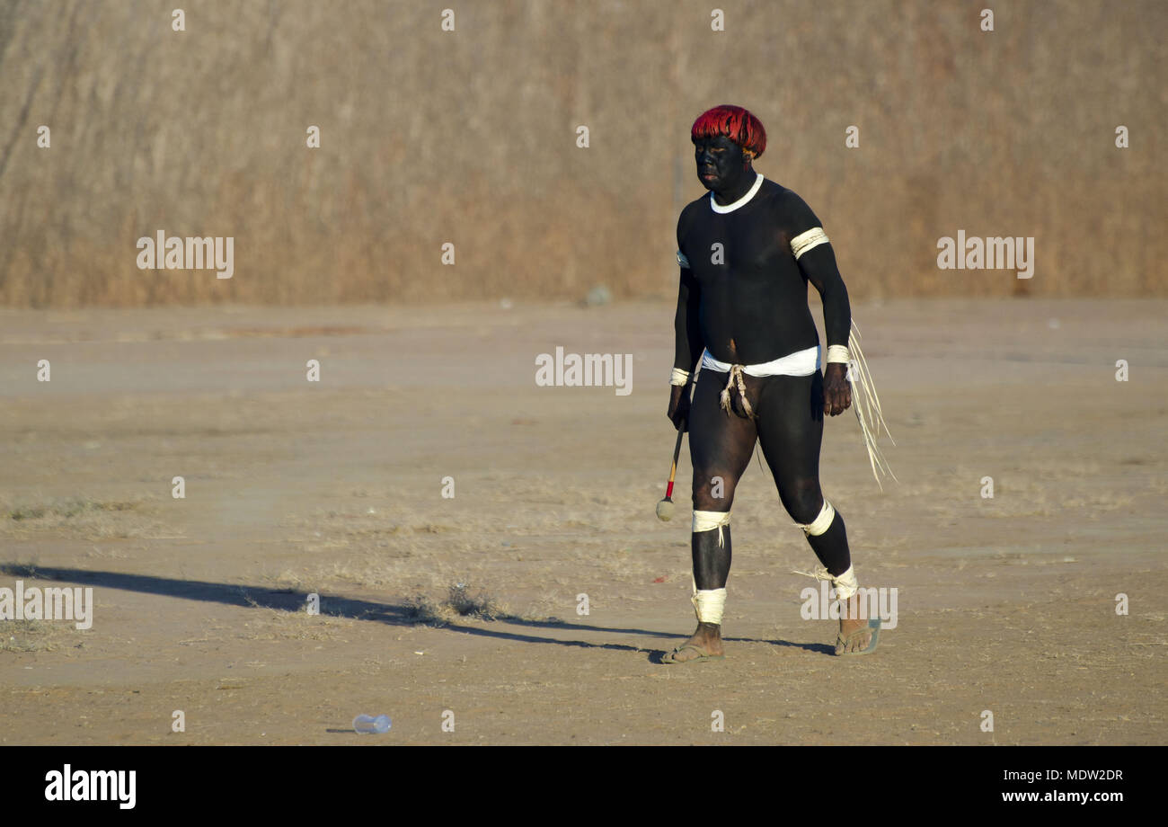 Indian Village Kalapalo Aiha painted for Jawari - Parque do Xingu ...