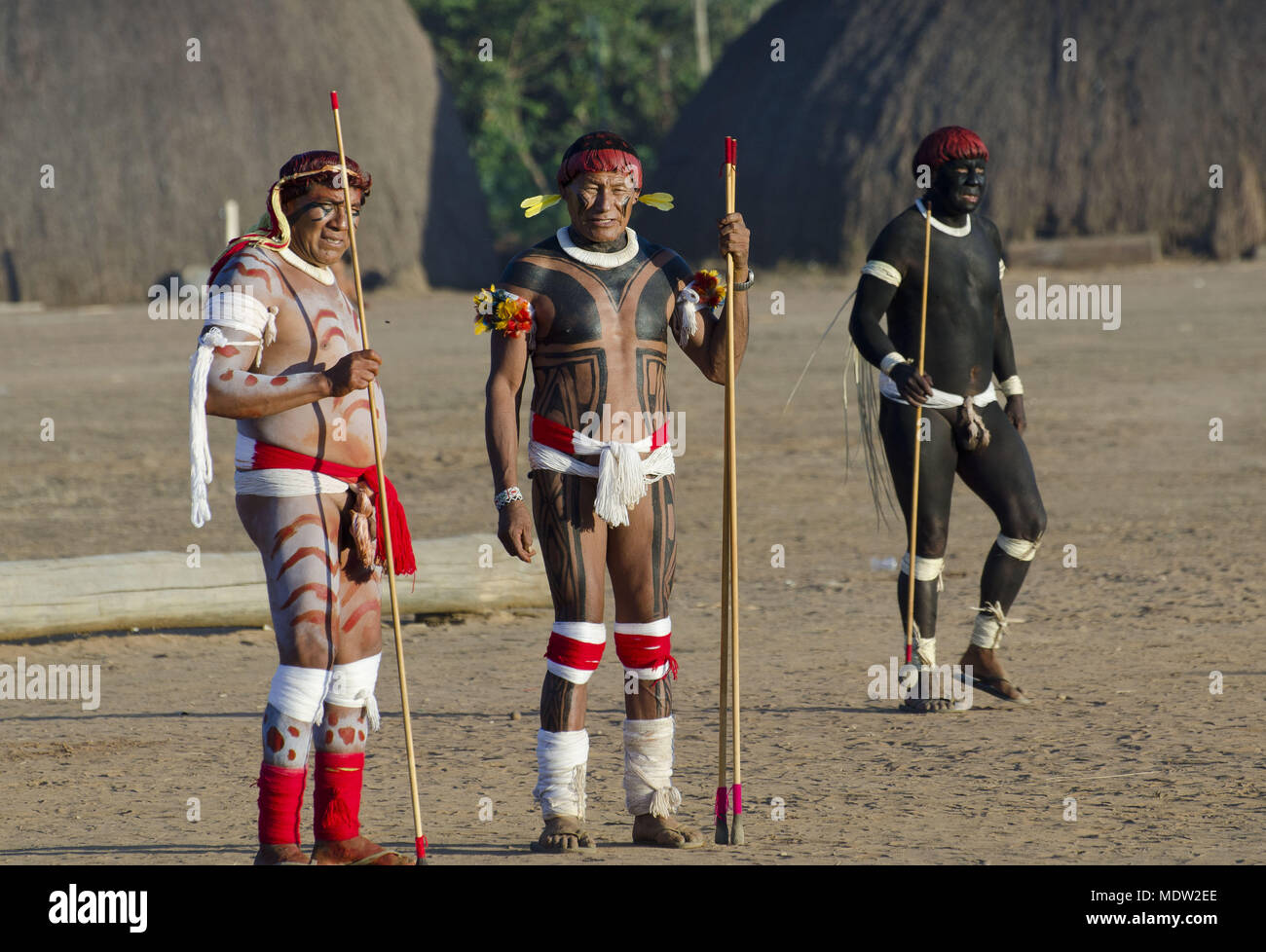 Indians Kalapalo Village Aiha painted for Jawari - Parque do Xingu ...
