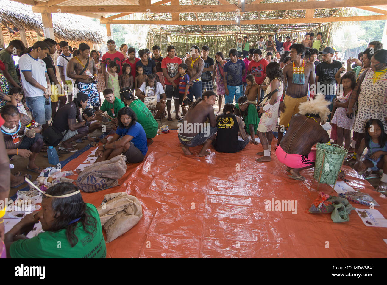 Indigenous amazonia food hi-res stock photography and images - Alamy
