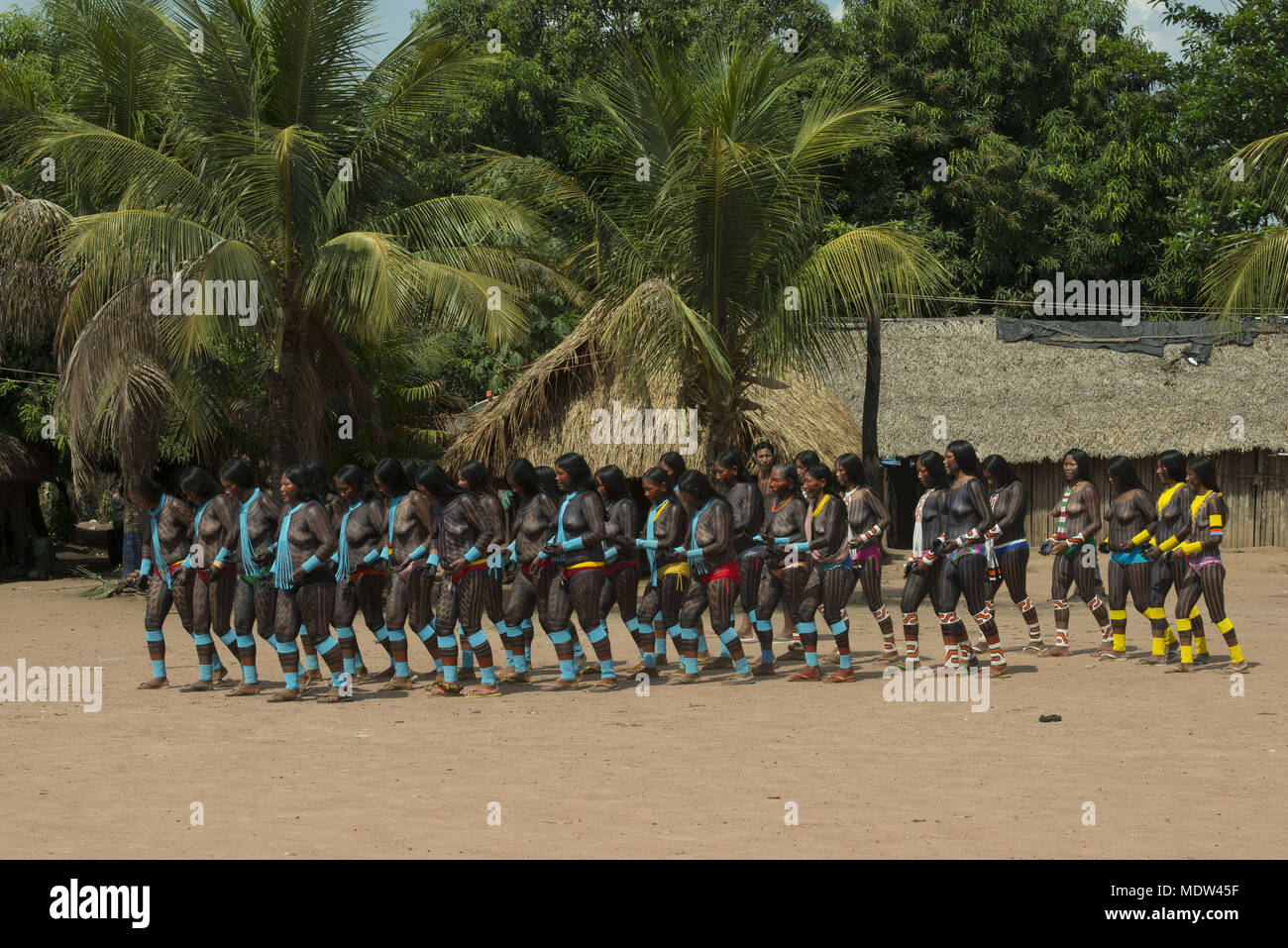 Kayapo Indian village Moikarako participate in the dance of cassava ...
