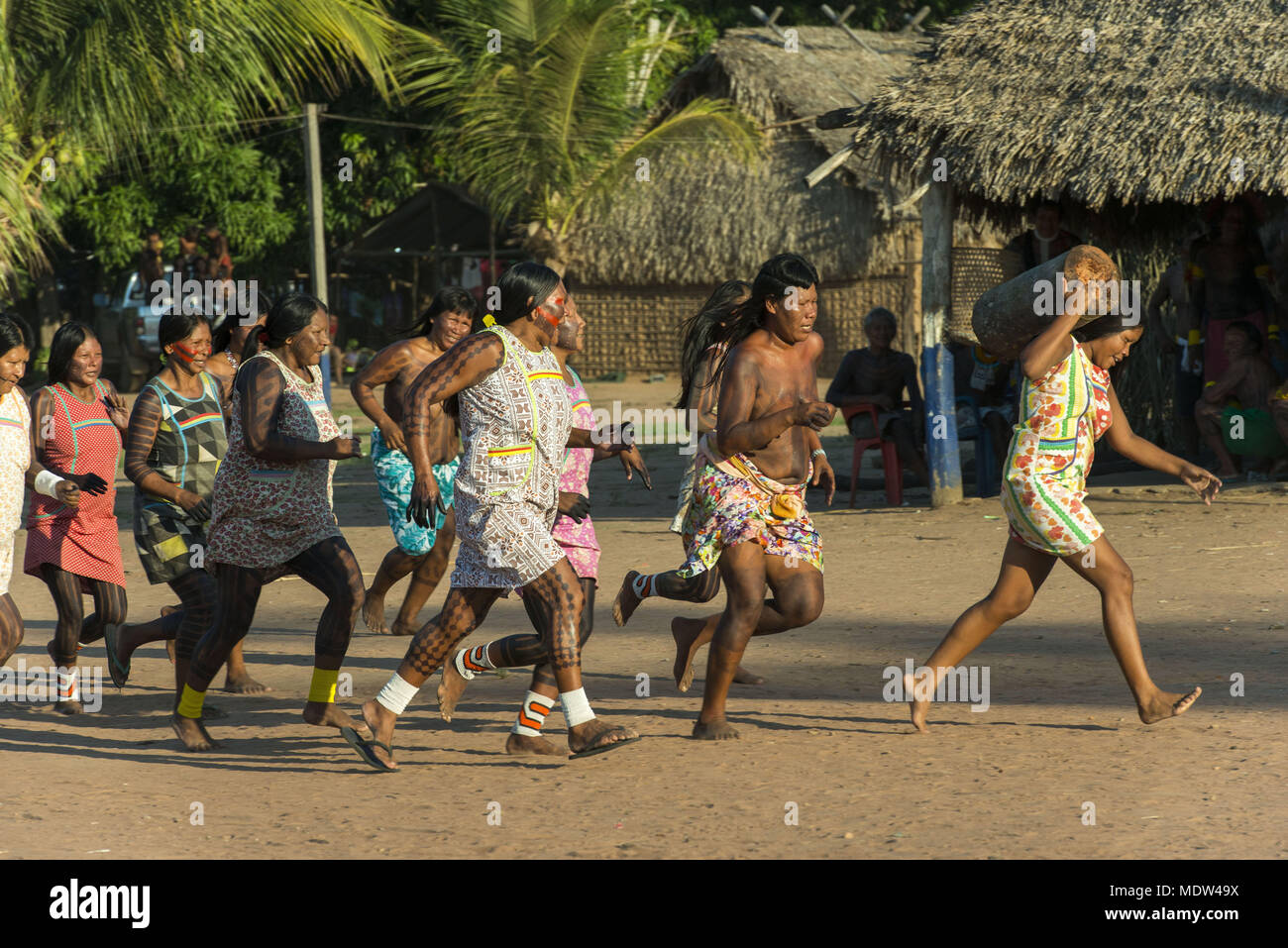 logs women's race of the Kayapo Indians of the village Moikarako Stock ...