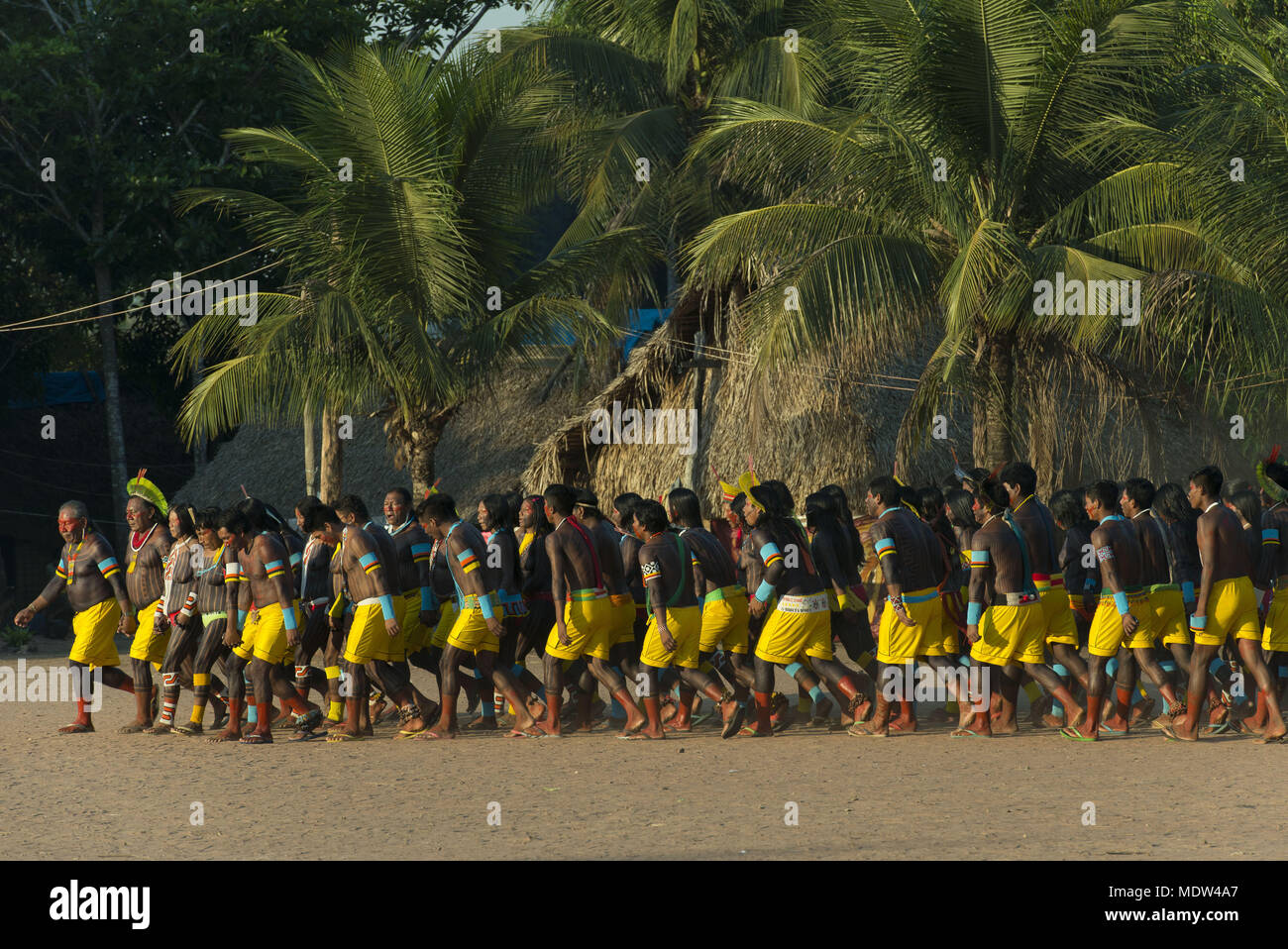 Traditional Dance Xingu Indians In Stock Photos & Traditional Dance ...