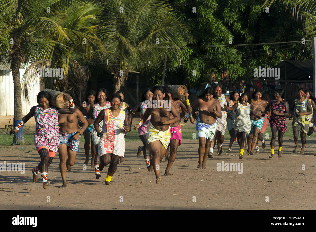 logs women's race of the Kayapo Indians of the village Moikarako Stock ...