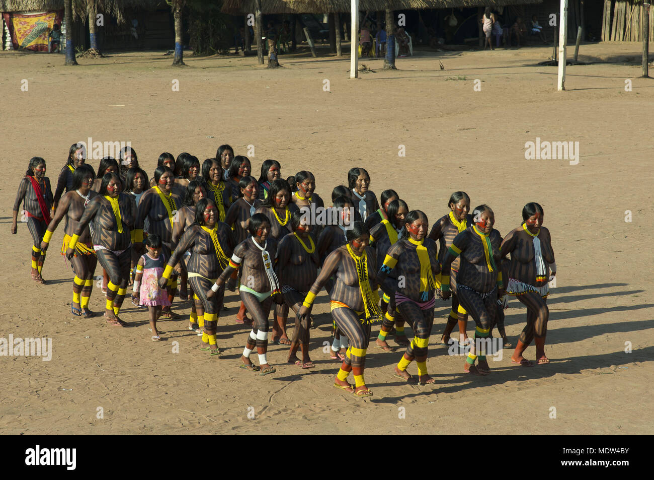 Kayapo Indian village Moikarako participate in the dance of cassava ...