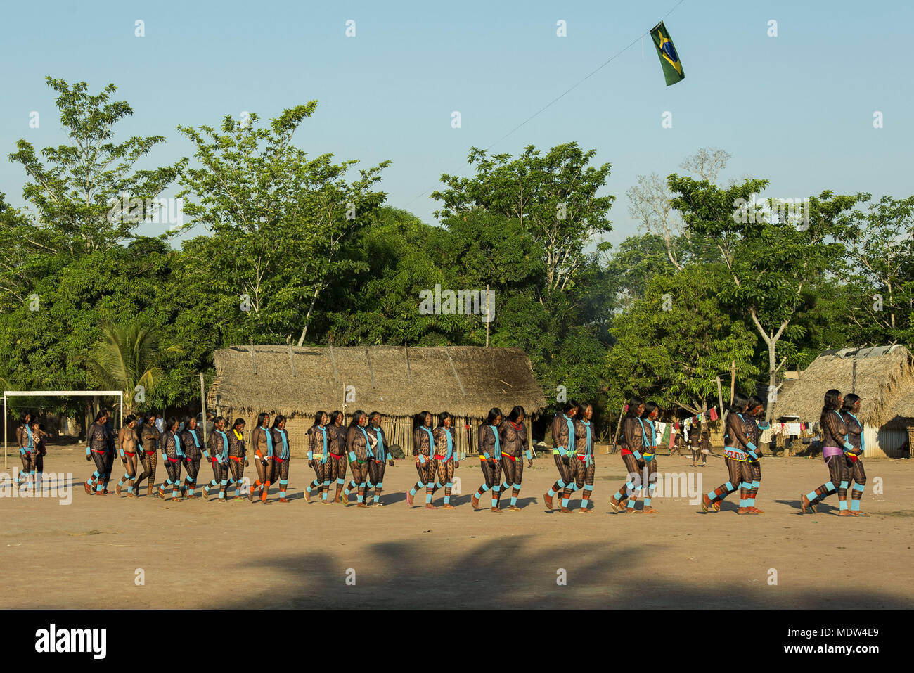 Kayapo Indian village Moikarako participate in the dance of cassava ...