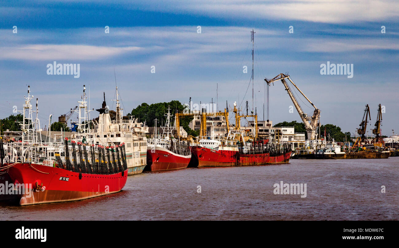 Isla Demarchi. Buenos Aires, Argentina Stock Photo - Alamy