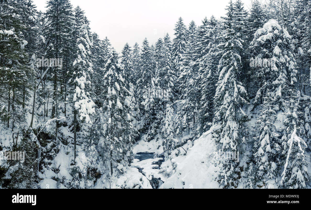 Zakopane poland winter hi-res stock photography and images - Alamy