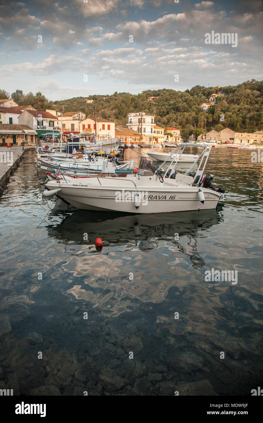 Longus hi-res stock photography and images - Alamy