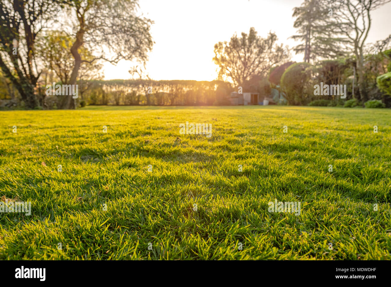 Lawn Sky Cut Stock Photos & Lawn Sky Cut Stock Images - Alamy