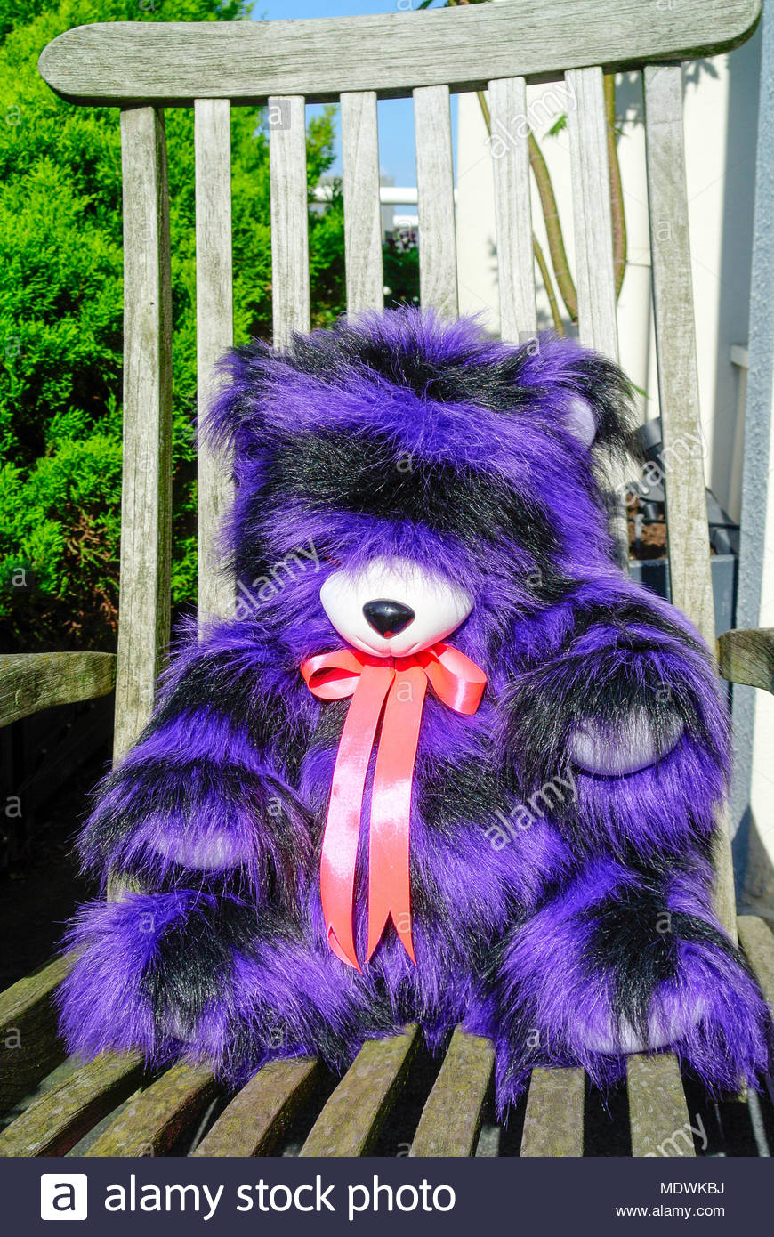 Original Teddy Bear Stock Photos & Original Teddy Bear Stock Images - Alamy