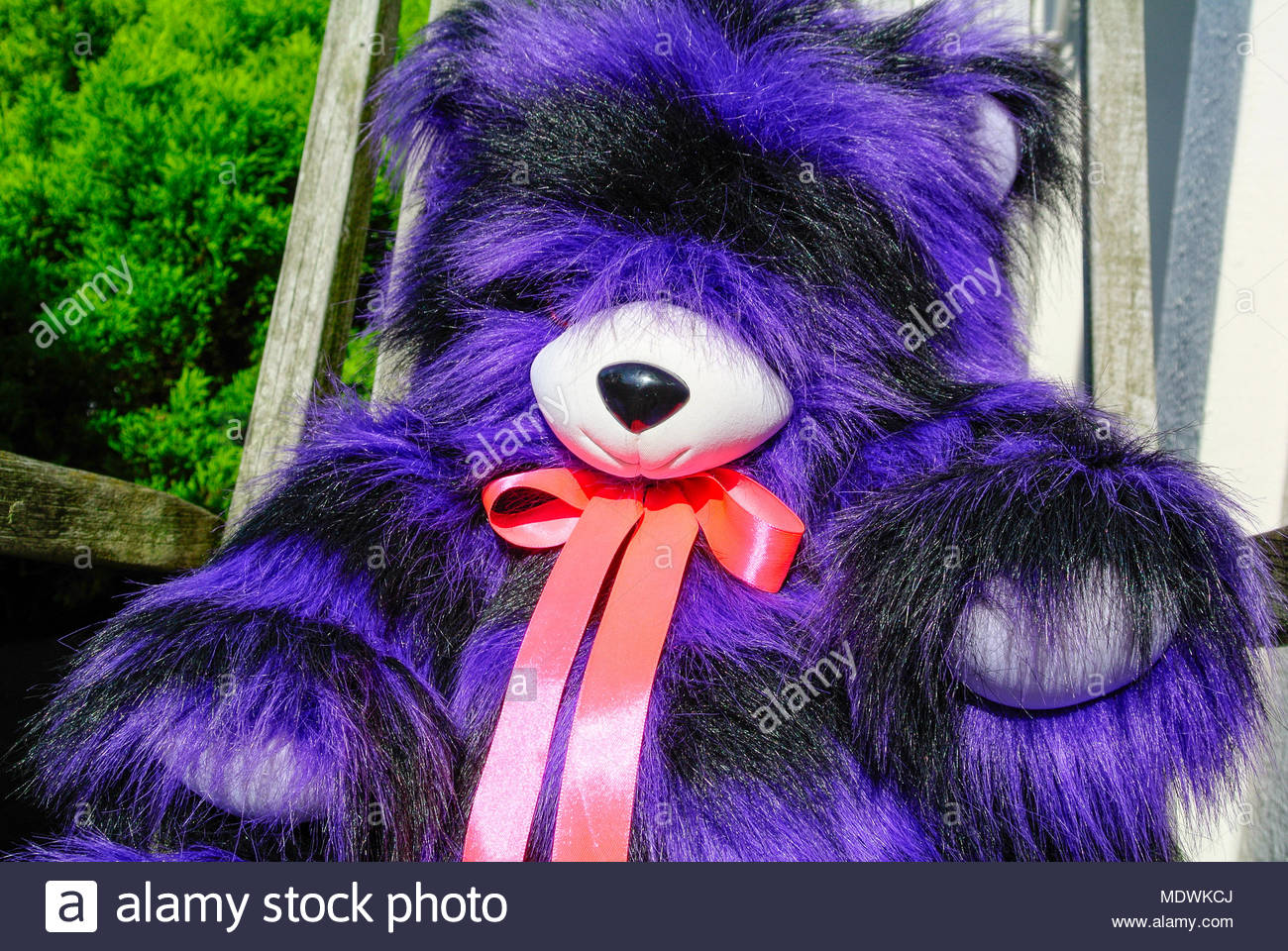 Original Teddy Bear Stock Photos & Original Teddy Bear Stock Images - Alamy
