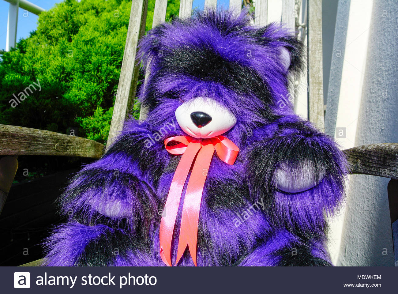 Original Teddy Bear Stock Photos & Original Teddy Bear Stock Images - Alamy