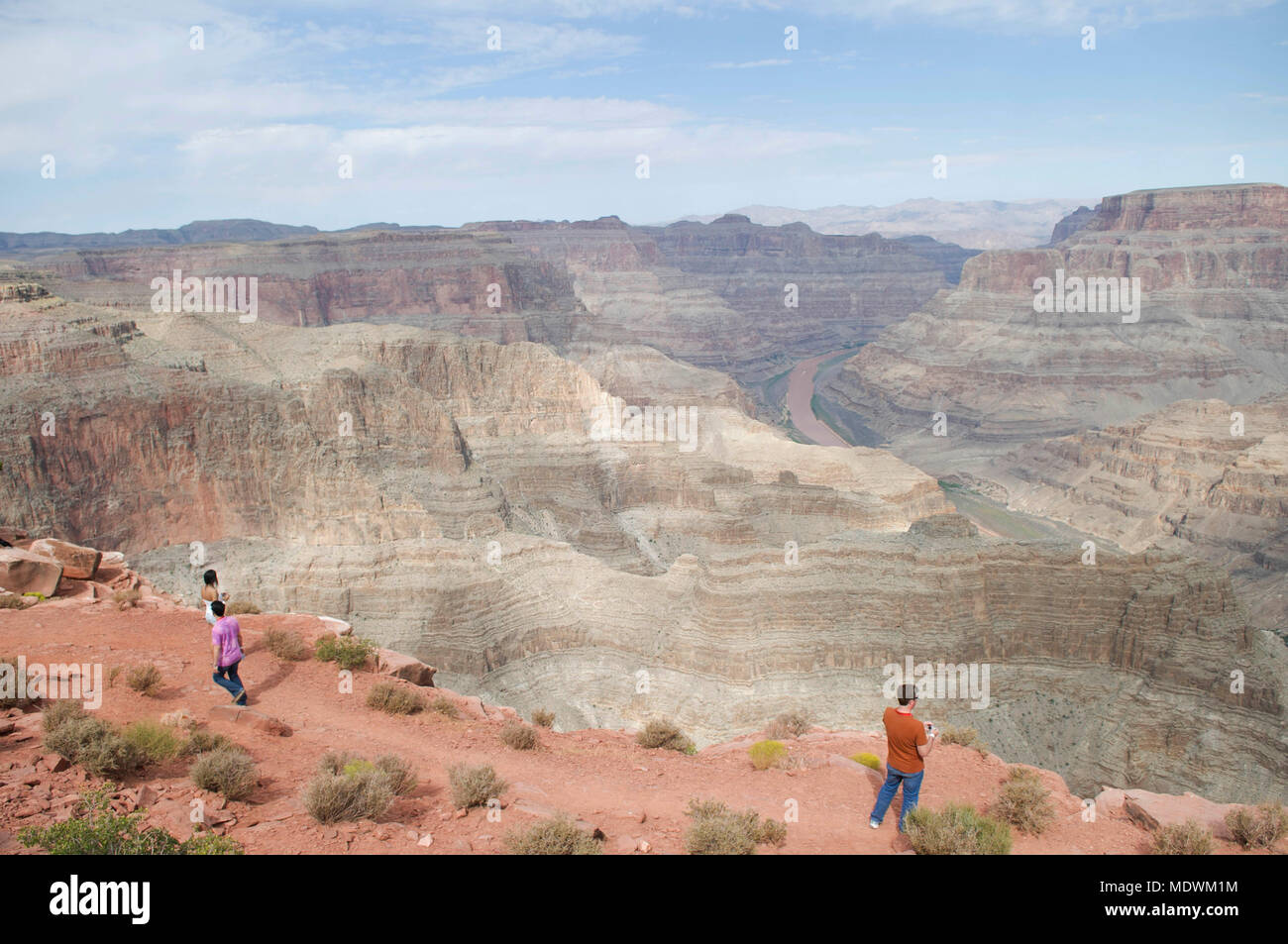 Grand canyon cliff springs hi-res stock photography and images - Alamy