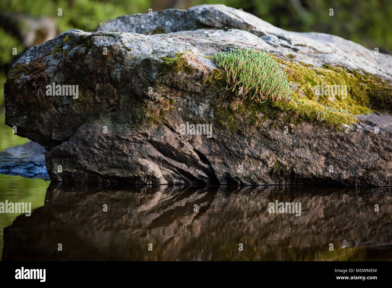 Rock on water reflection Stock Photo - Alamy
