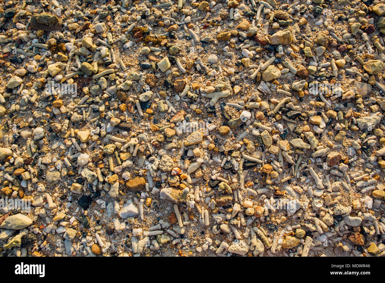 Sea sand texture made of shell and stone pieces Stock Photo - Alamy