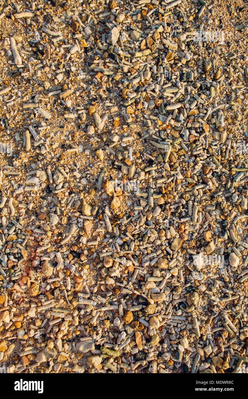Sea sand texture made of shell and stone pieces Stock Photo - Alamy