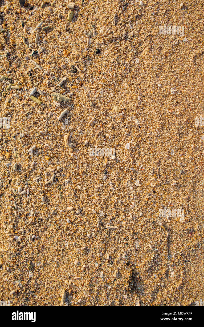 Sea sand texture made of shell and stone pieces Stock Photo - Alamy