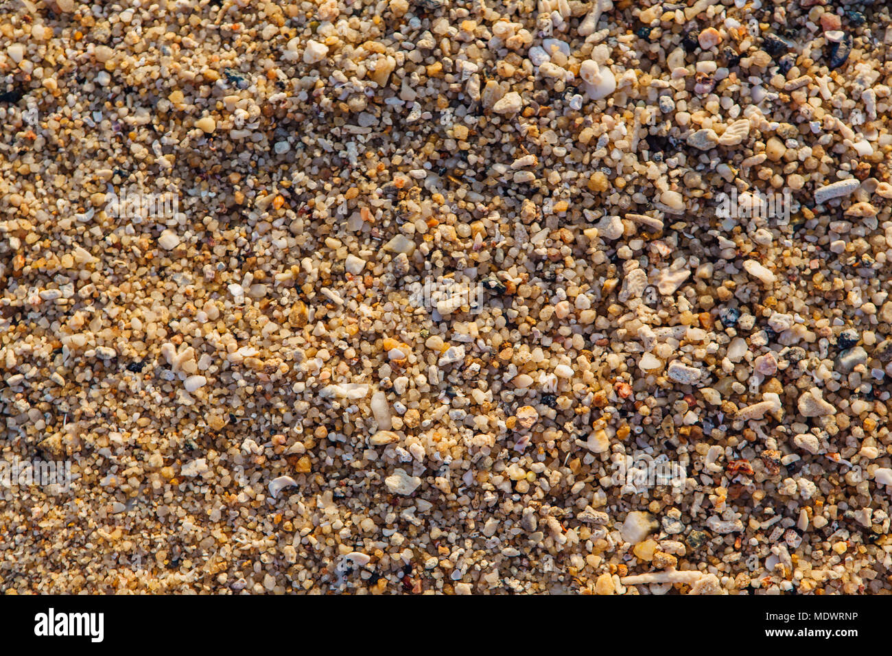 Sea sand texture made of shell and stone pieces Stock Photo - Alamy