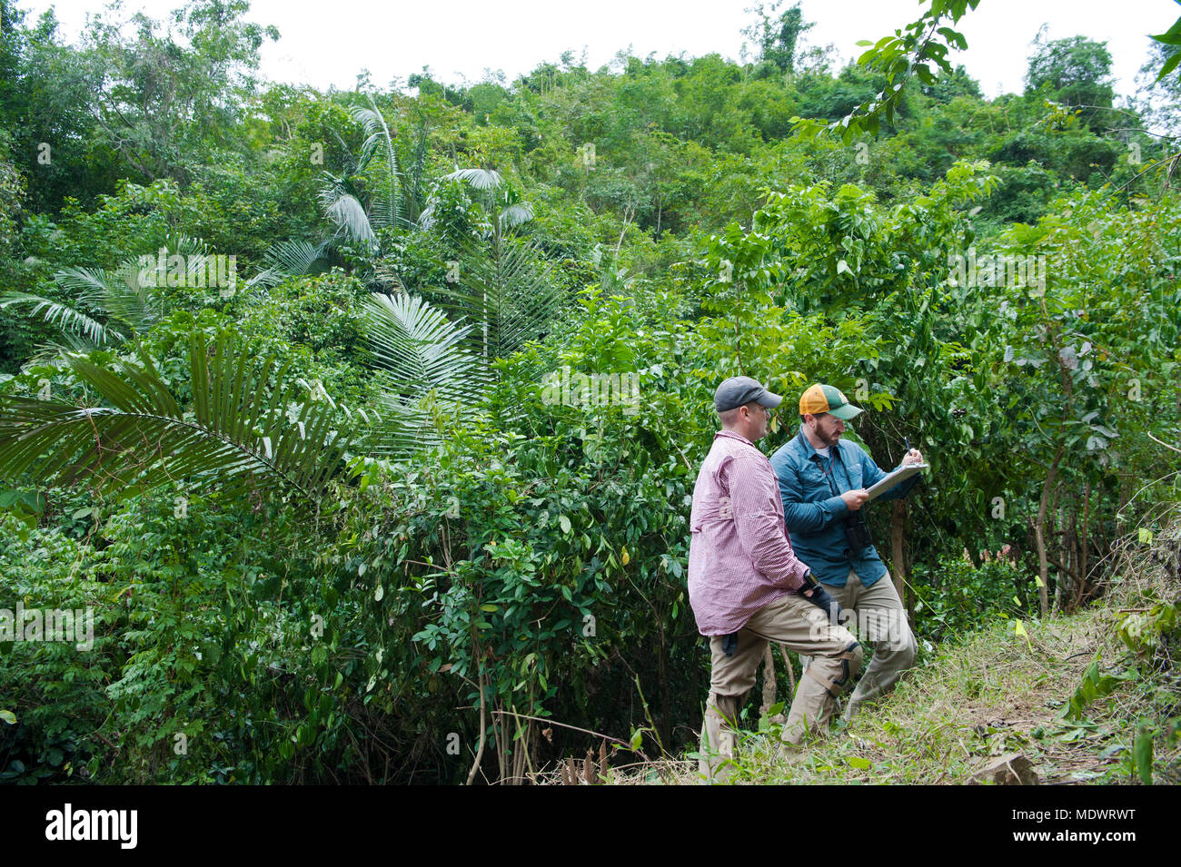 Vietnam map during war hi-res stock photography and images - Alamy