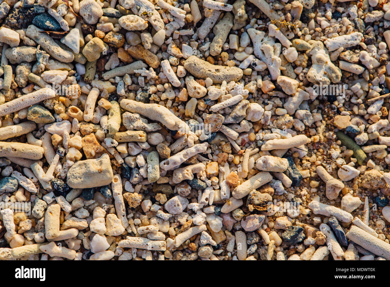 Sea sand texture made of shell and stone pieces Stock Photo - Alamy