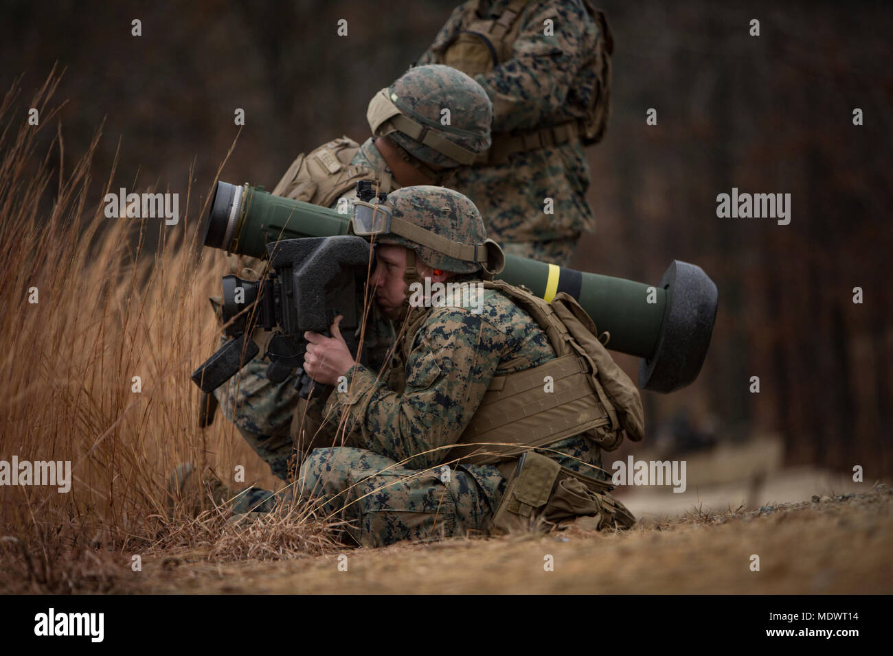 U.S. Marines with the Combined Anti-Armor Team, 2nd Battalion, 8th ...