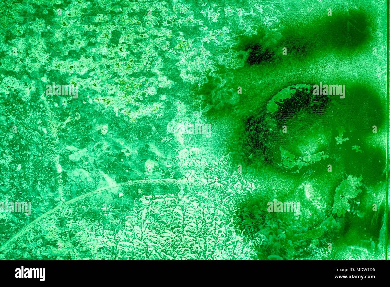 Ultra green Tin texture, steel wall surface or metallic aluminium ...