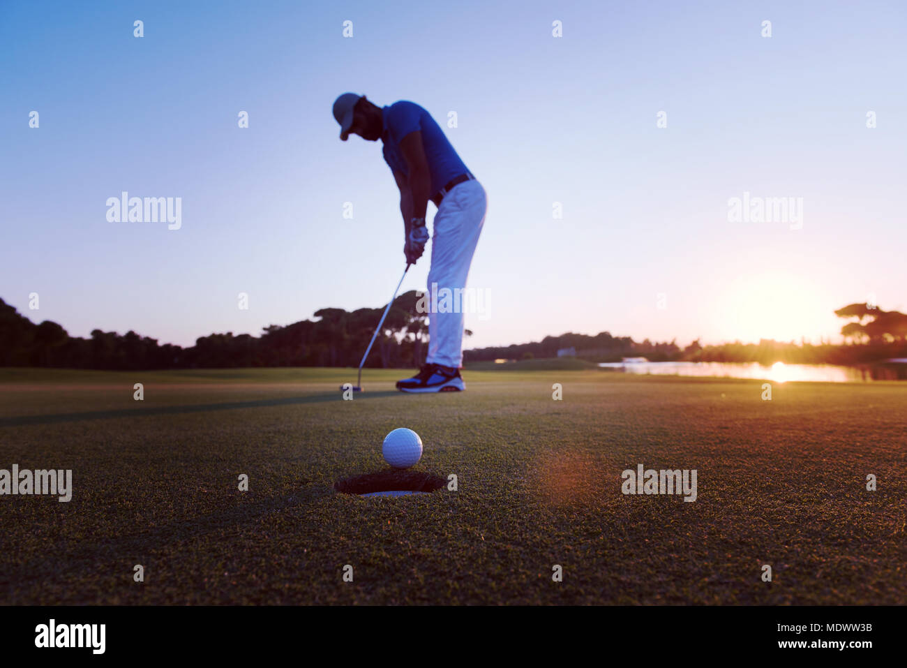 golfer hitting ball shot with driver on golf course at beautiful sunset ...