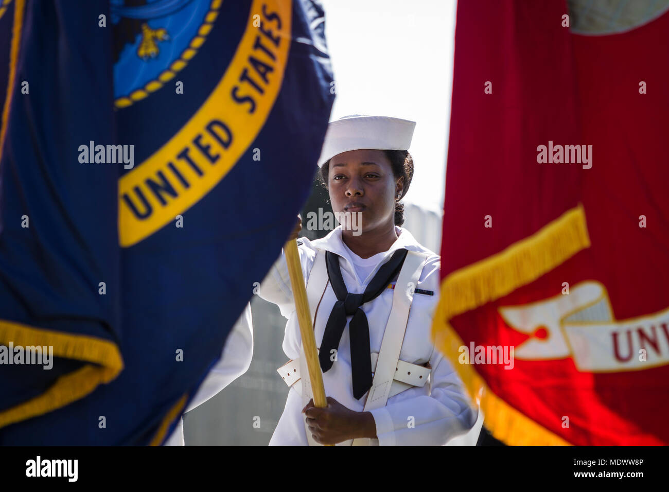 A Sailor, part of the Joint Service Color Guard, stands at attention ...