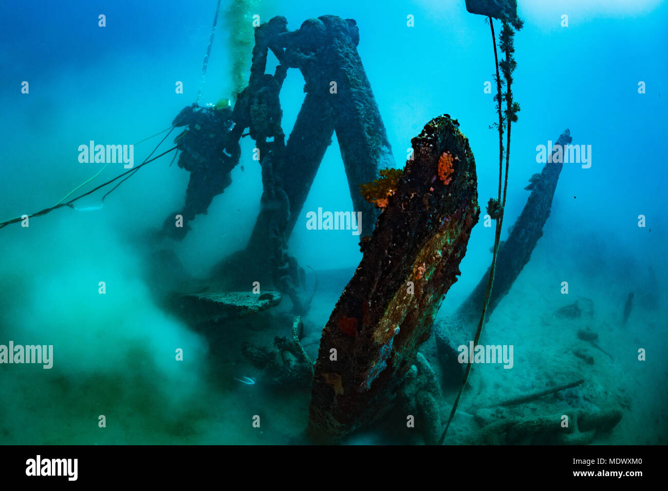 Broco Torch High Resolution Stock Photography and Images - Alamy