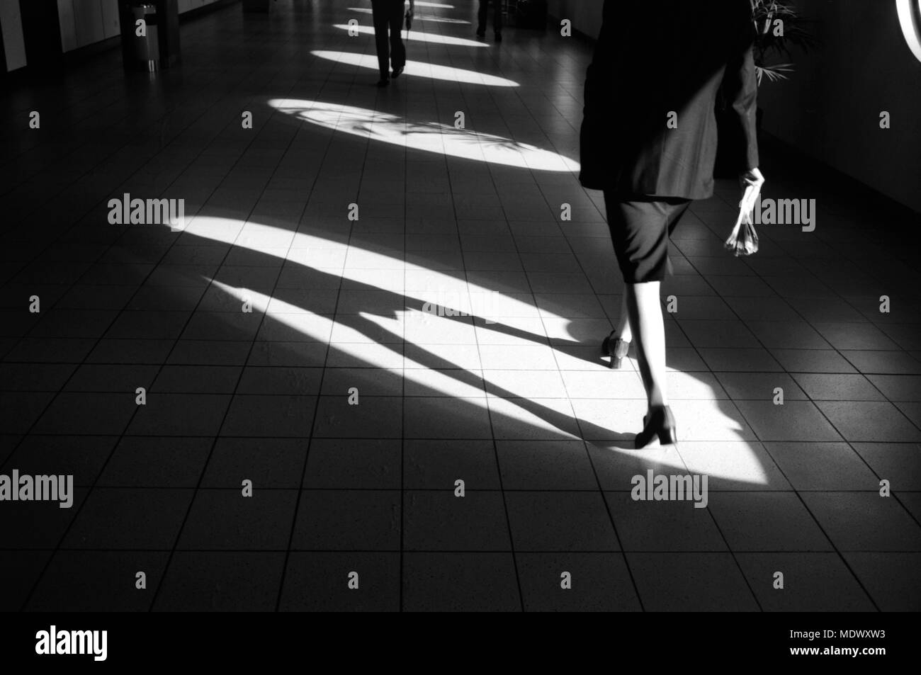 AJAXNETPHOTO. SCHIPOL, HOLLAND. - POOLS OF LIGHT - SCHIPOL AIRPORT ...