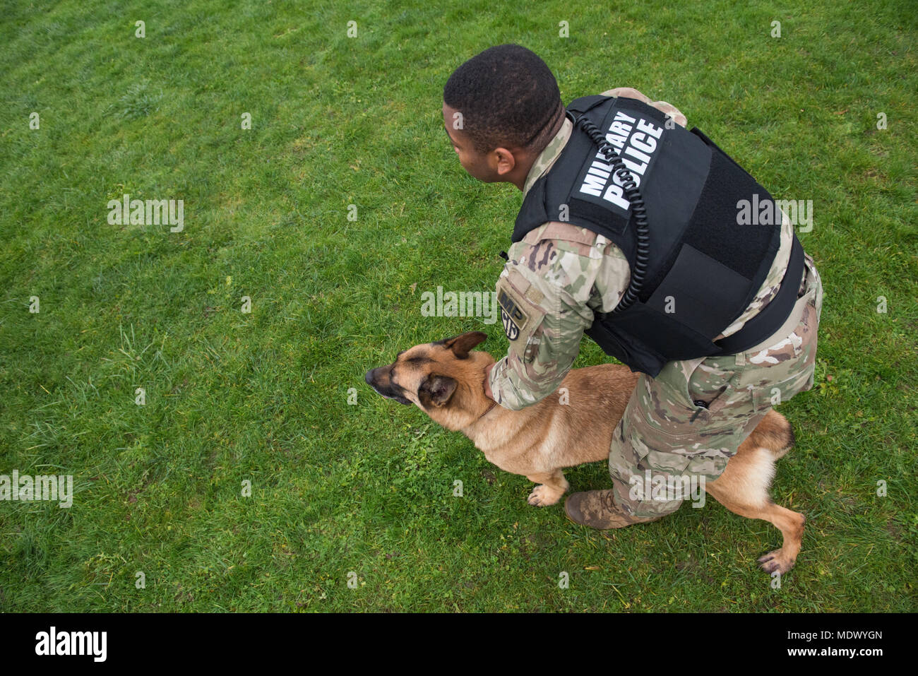 U.S. Army Spc. Tahle Teabout, military working dog (MWD) handler with ...