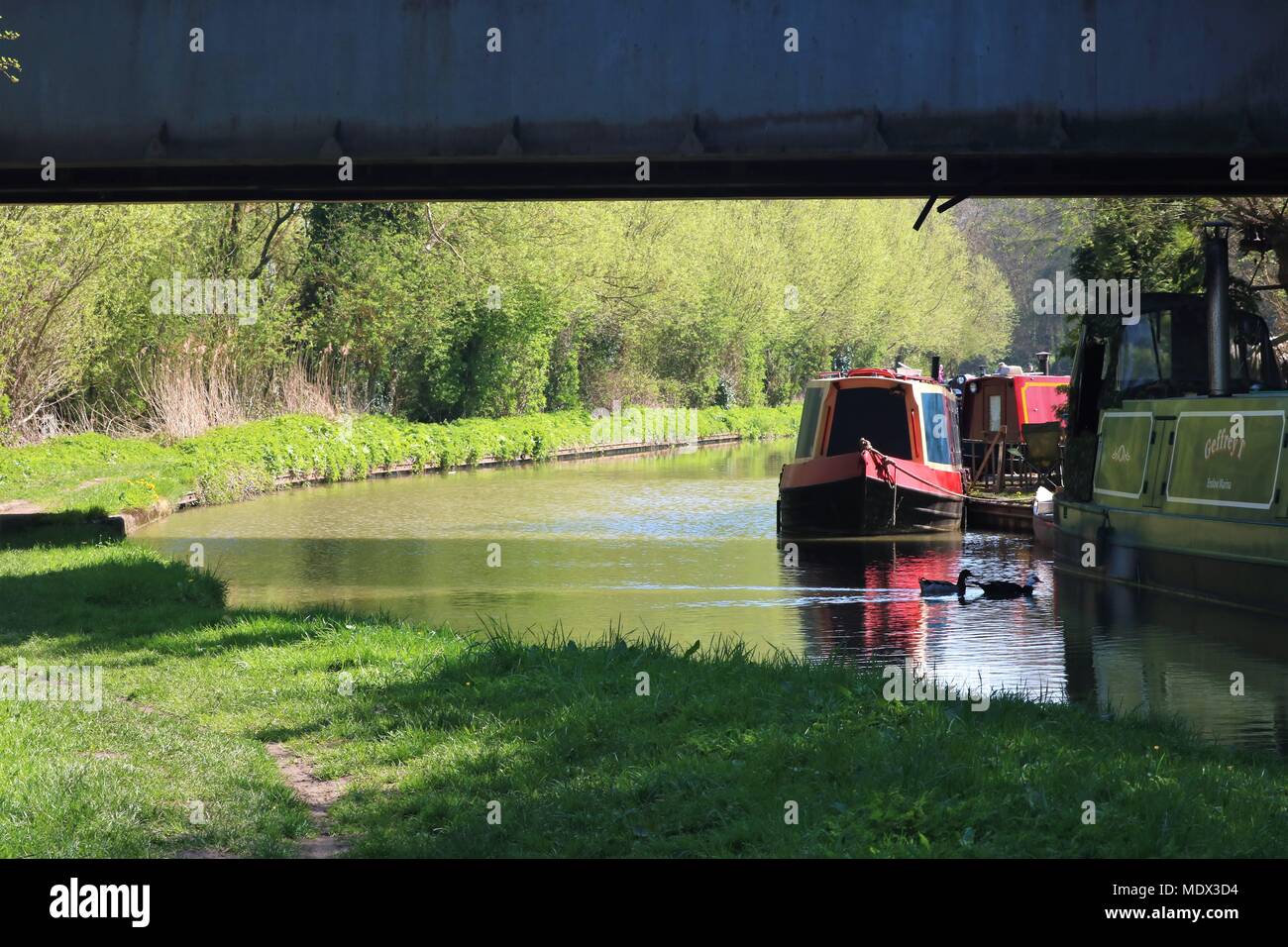 Canal boats / barges at stretch of canal at Enslow Wharf, Bletchingdon ...