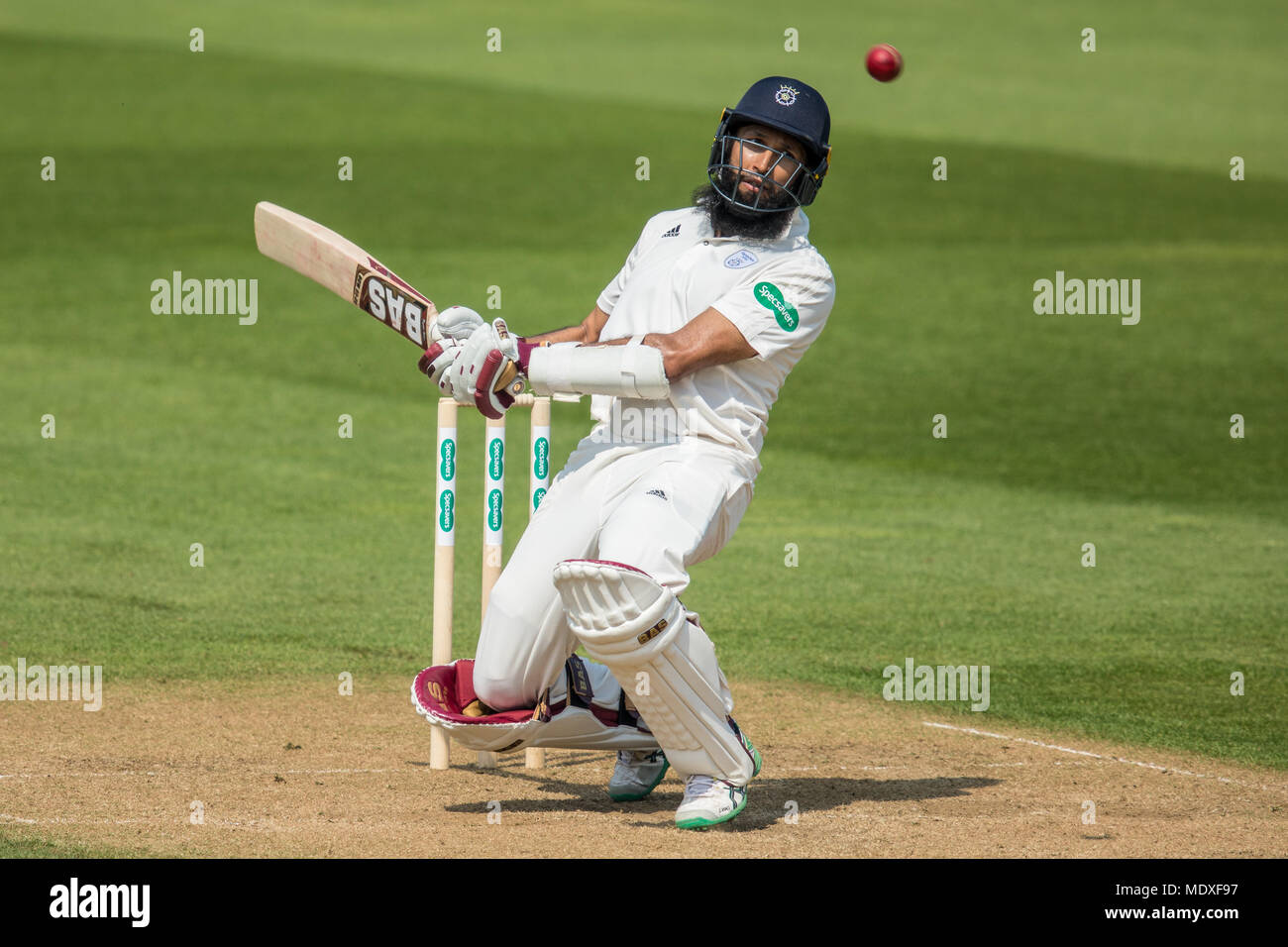 Two amla hi-res stock photography and images - Alamy