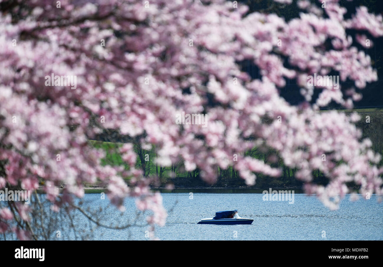 Titisee-Neustadt, Germany. 21st April, 2018. A pedalo on Titisee lake ...