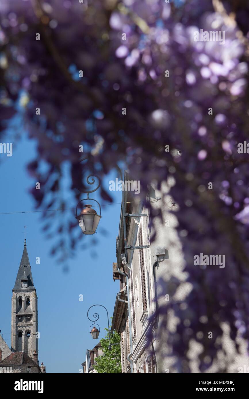 Milly la foret hi-res stock photography and images - Alamy