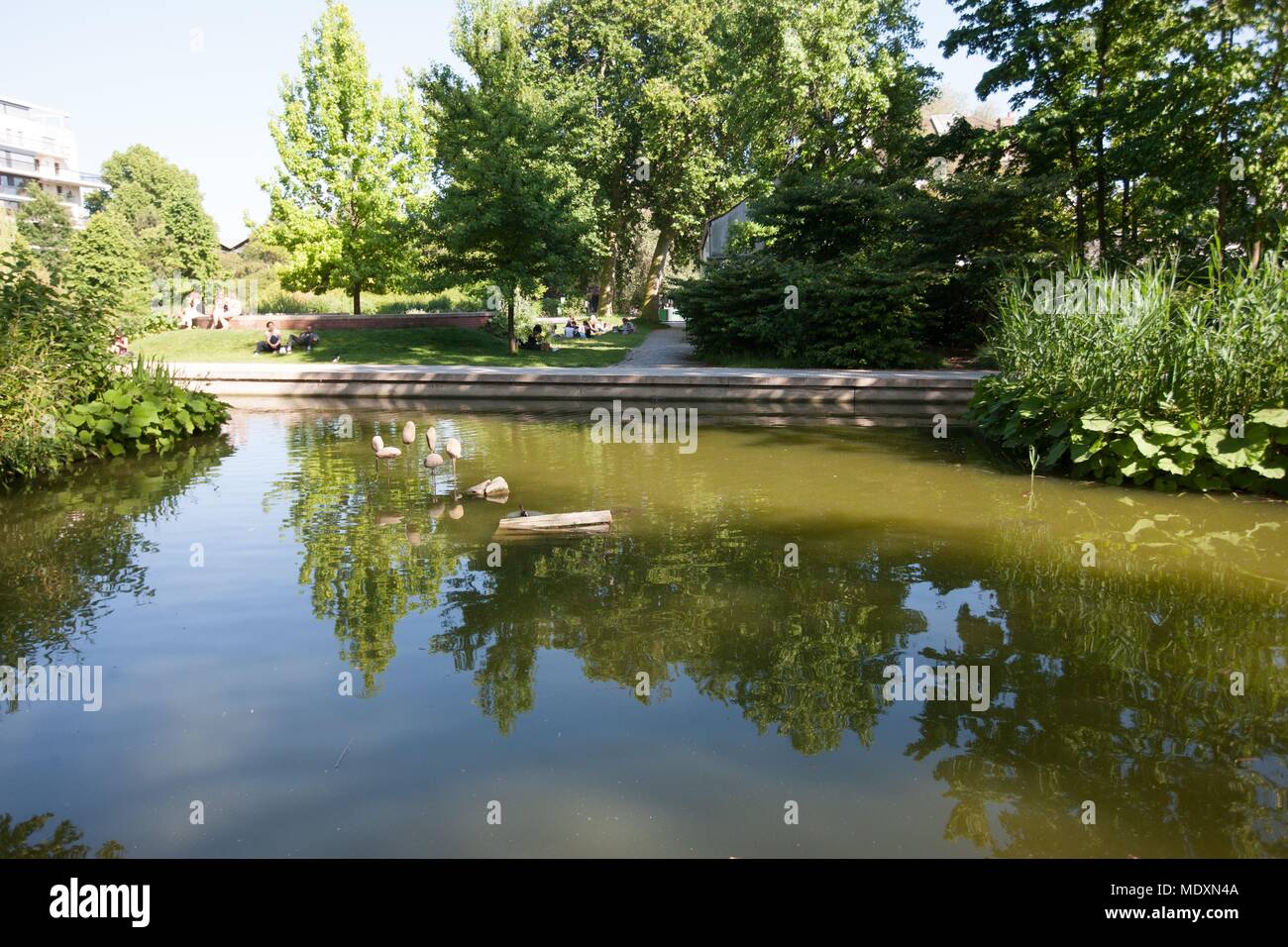 Paris, Parc de Bercy, pond, bird reserve Stock Photo - Alamy