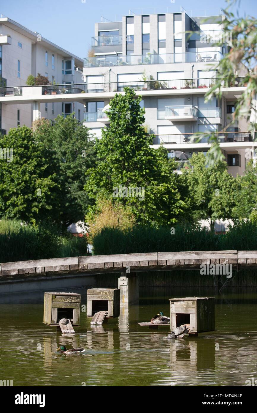 Paris, Parc de Bercy, pond with ducks and turtles Stock Photo - Alamy