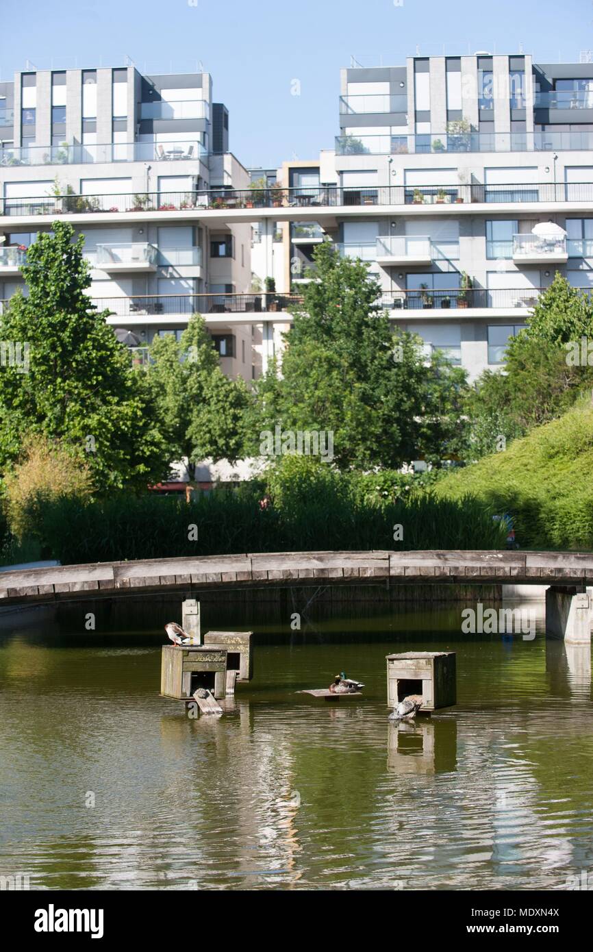 Paris, Parc de Bercy, pond with ducks and turtles Stock Photo - Alamy