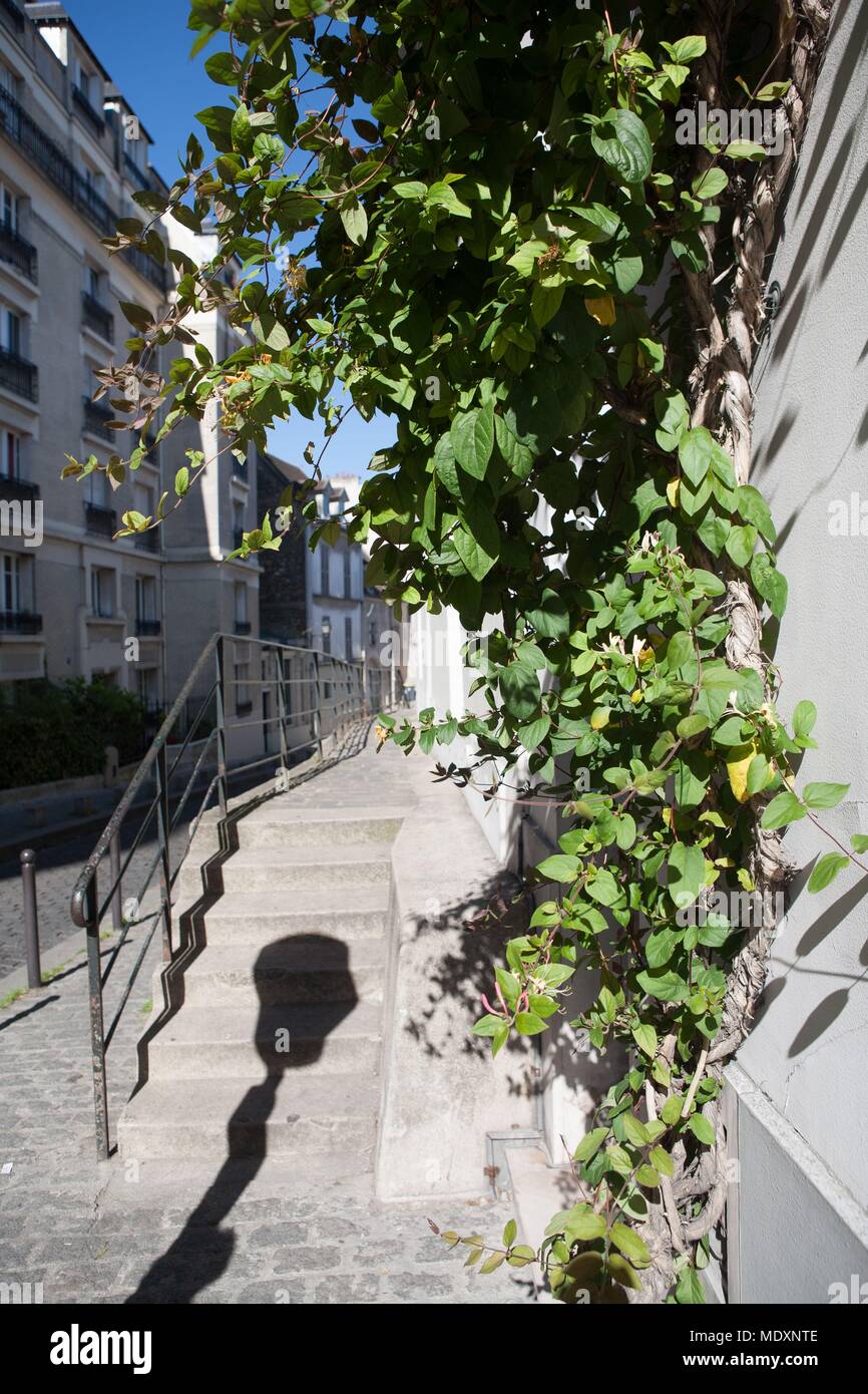 Paris, Montmartre, Rue Cortot Stock Photo - Alamy