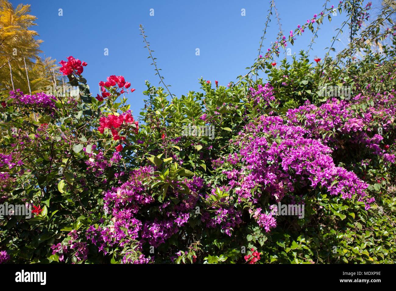 North Africa, Morocco, Marrakech, Zaraba, Villa Hana, guesthouse Stock ...