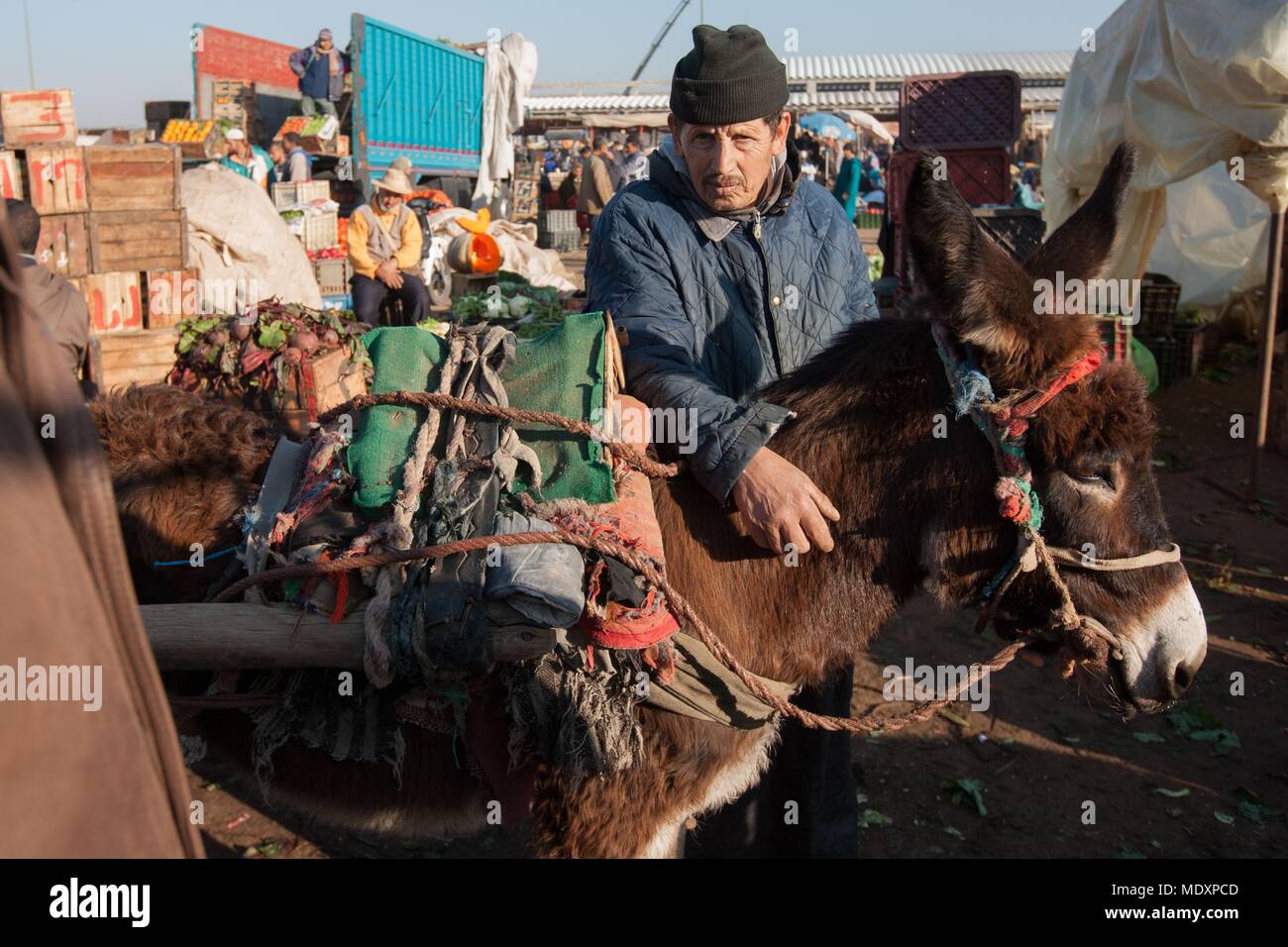 North Africa, Morocco, Marrakech, souk, bazaar, wholesale market, food ...