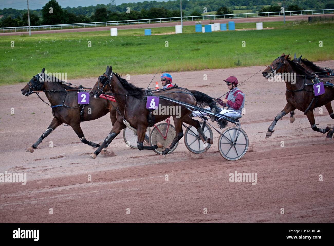 France, Lower Normandy, Calvados, Lisieux, race of the tresorerie, trot ...