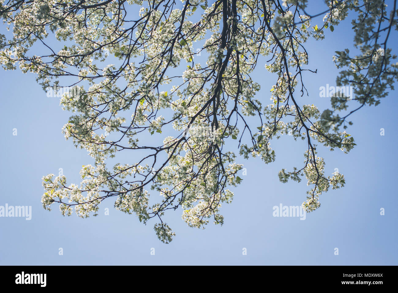 Spring again hi-res stock photography and images - Alamy