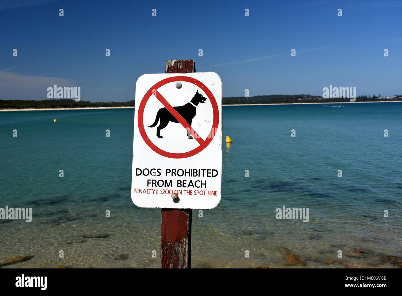 South West Rocks, Australia - Dec 24, 2017. A sign reads "Dogs ...