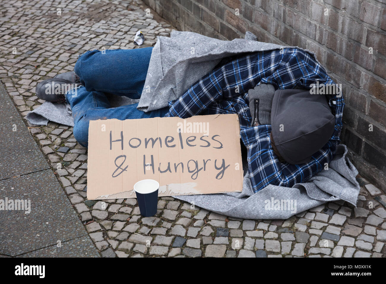 Homeless man cardboard sign on hi-res stock photography and images - Alamy