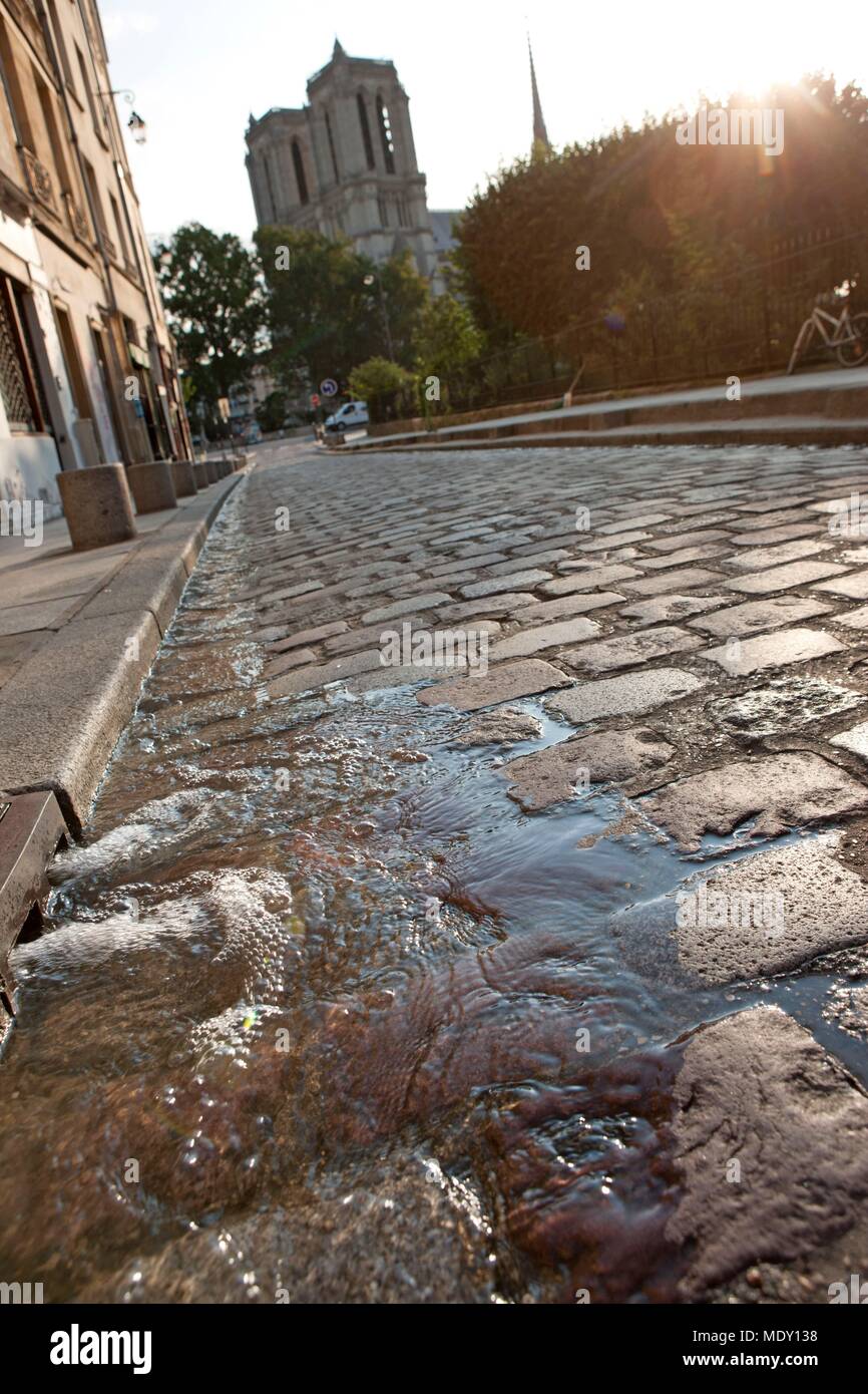 Paris, Latin Quarter, rue Saint Julien le Pauvre, cobbled street ...