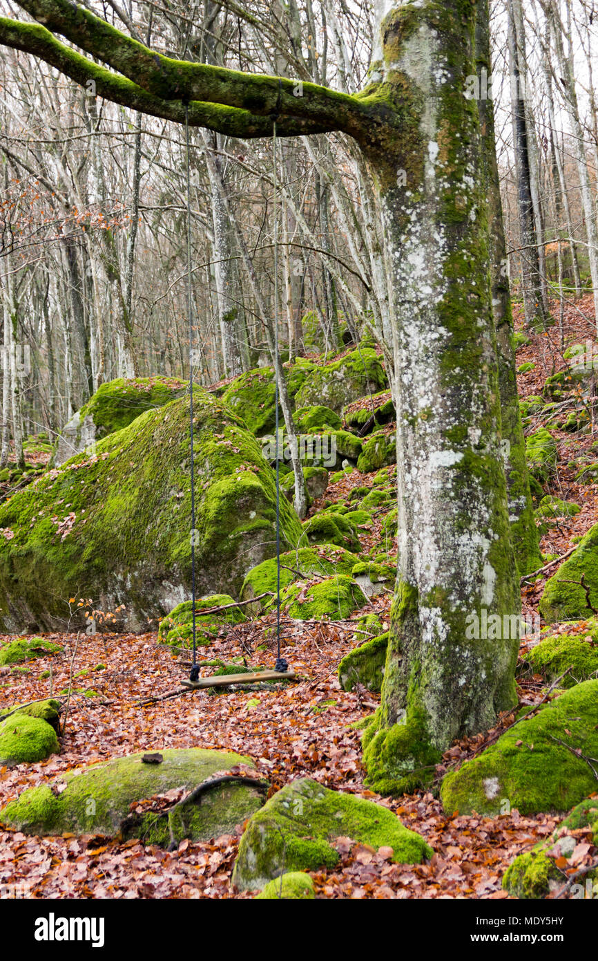 Swinging from a tree hi-res stock photography and images - Alamy