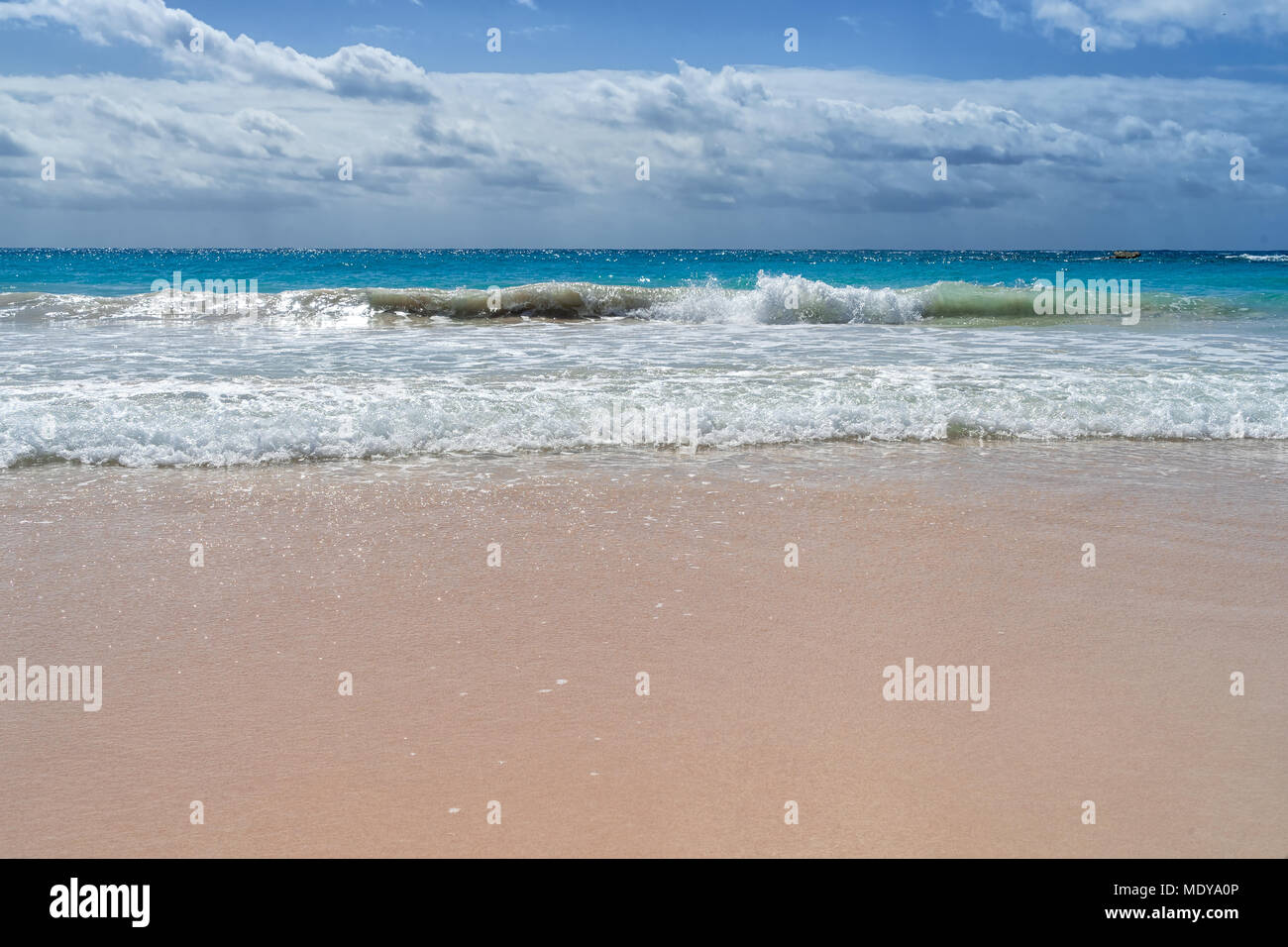 Beautiful pink sands of a Bermuda beach Stock Photo - Alamy