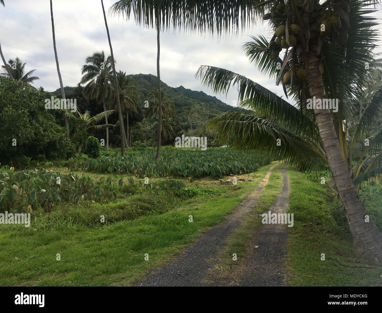 12 islands hi-res stock photography and images - Alamy